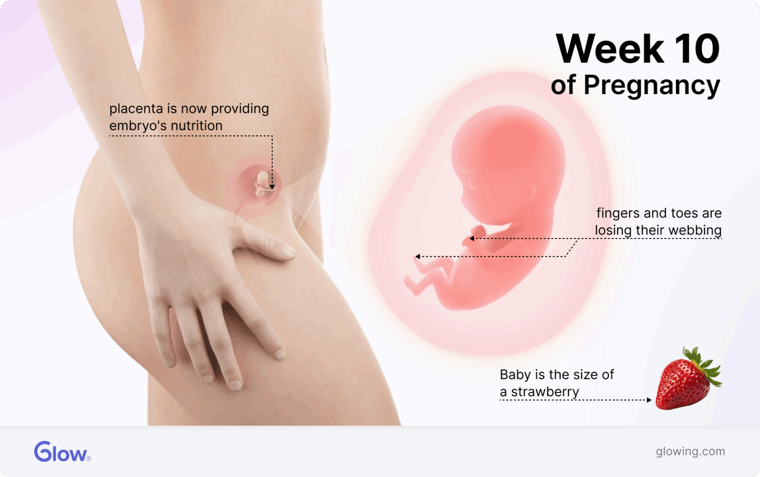 10 Weeks Pregnant: Symptoms, Baby Development, & Tips