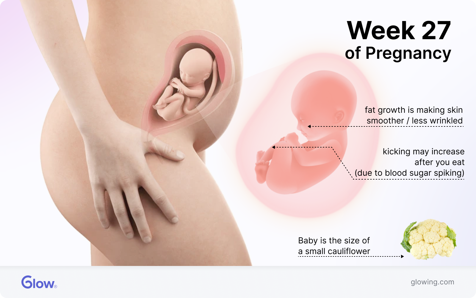 27 Weeks Pregnant: End of 2nd Trimester, Baby Growth, & Tips