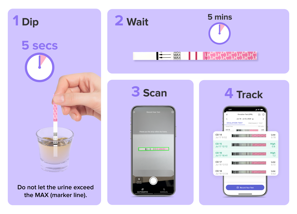 Ovulation Test Strips: How They Work & When to Use Them