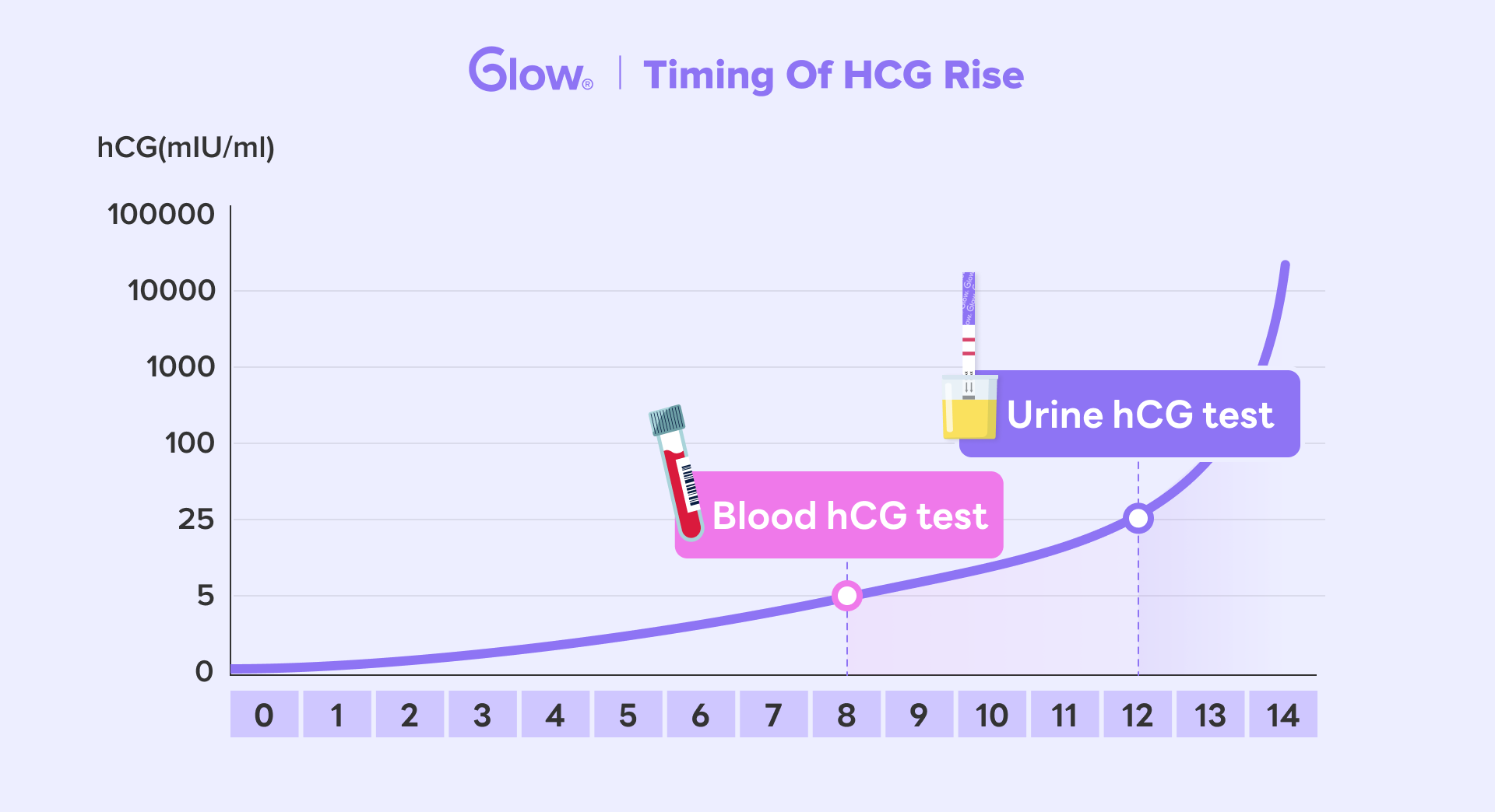 Your hCG Levels Week-by-Week: Learn What's Normal